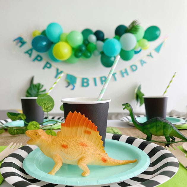 party kits – Cottonwood Home